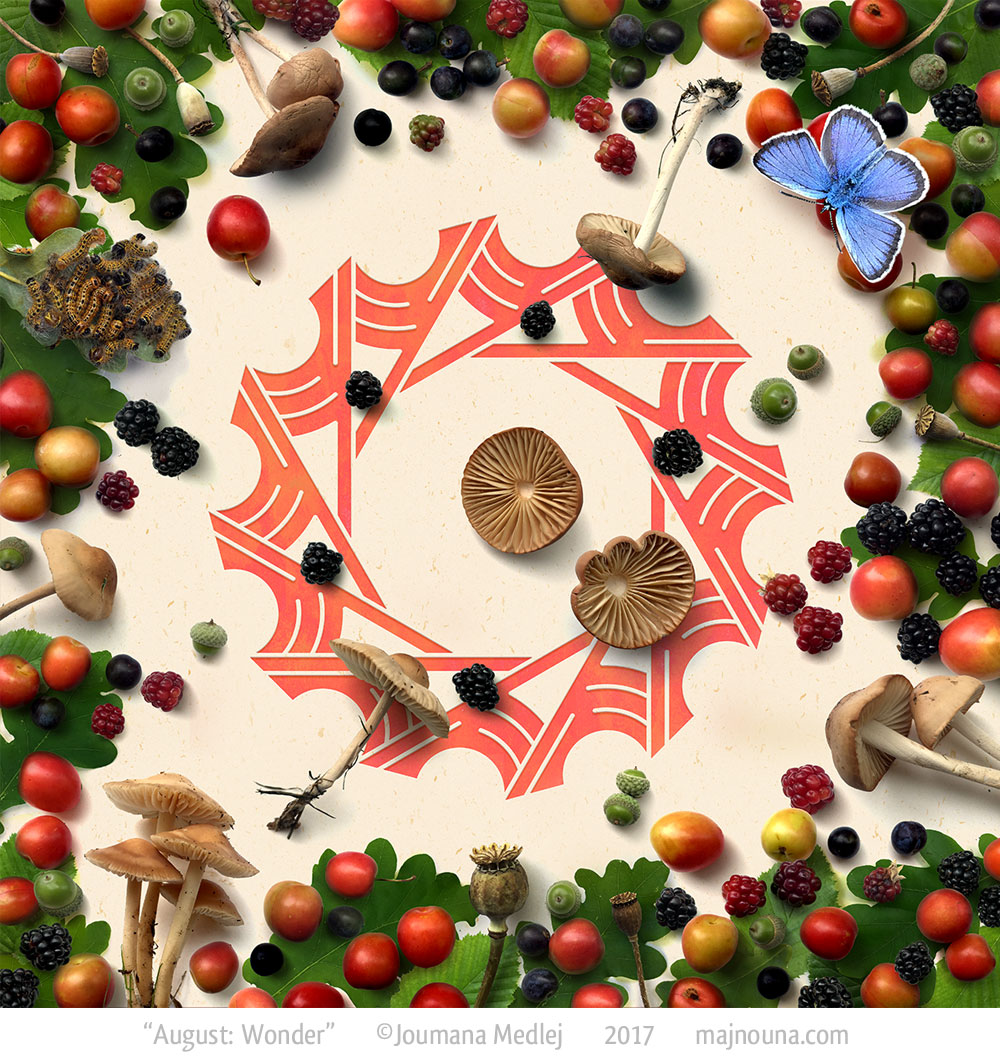 AUGUST | Wonder | عجب - Majnouna