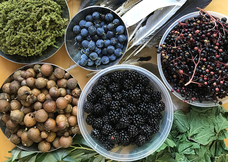 Going Wild: Berry Season - Majnouna