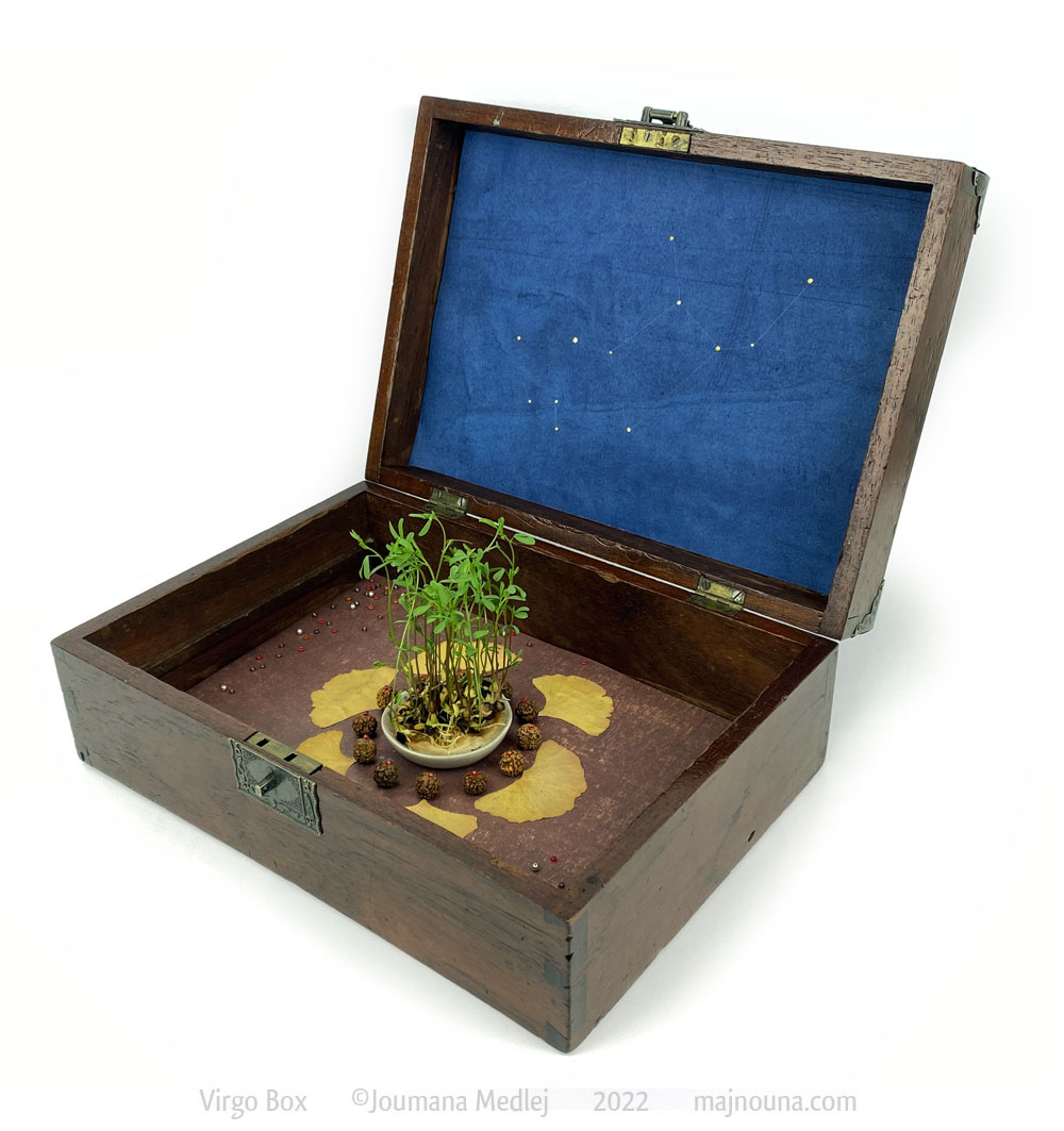 Box of Virgo - Majnouna